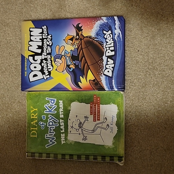 Scholastic | Other | Dog Man Diary Of A Wimpy Kid Books | Poshmark